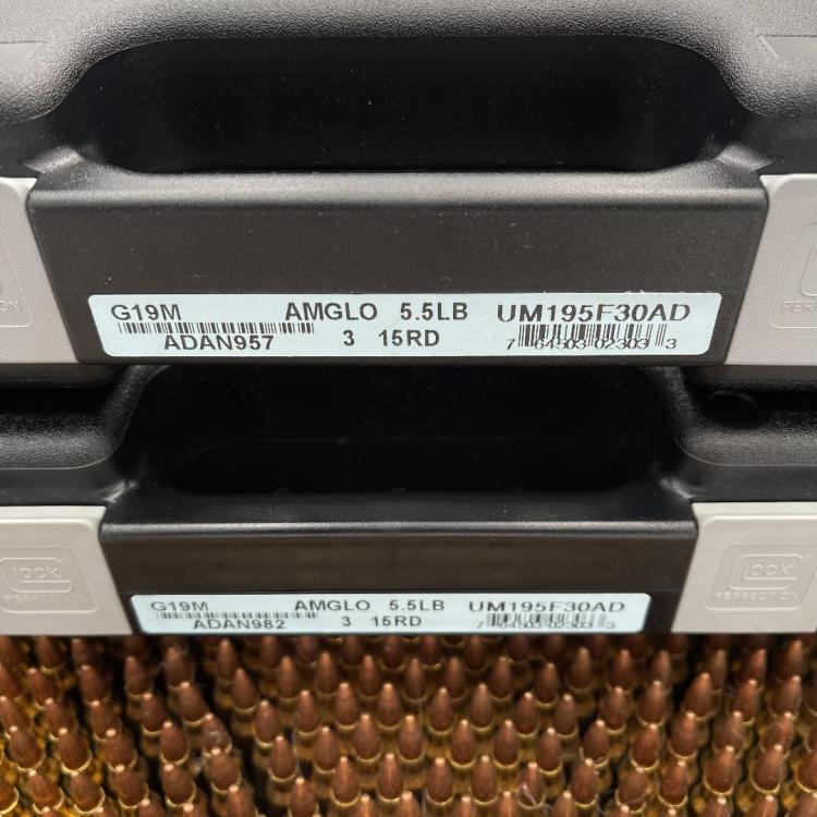 A Little Awaited Arrival–Glock 19M FDE – A Brief History of Glock ...
